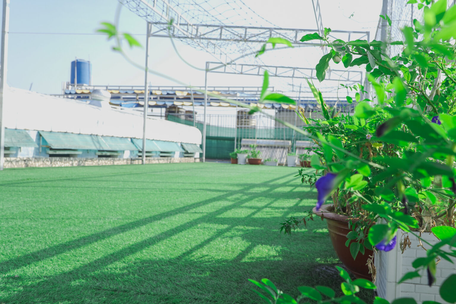 Pathway Tuệ Đức - Cơ sở Nguyễn Sỹ Sách, Quận Tân Bình - Hệ thống trường ...